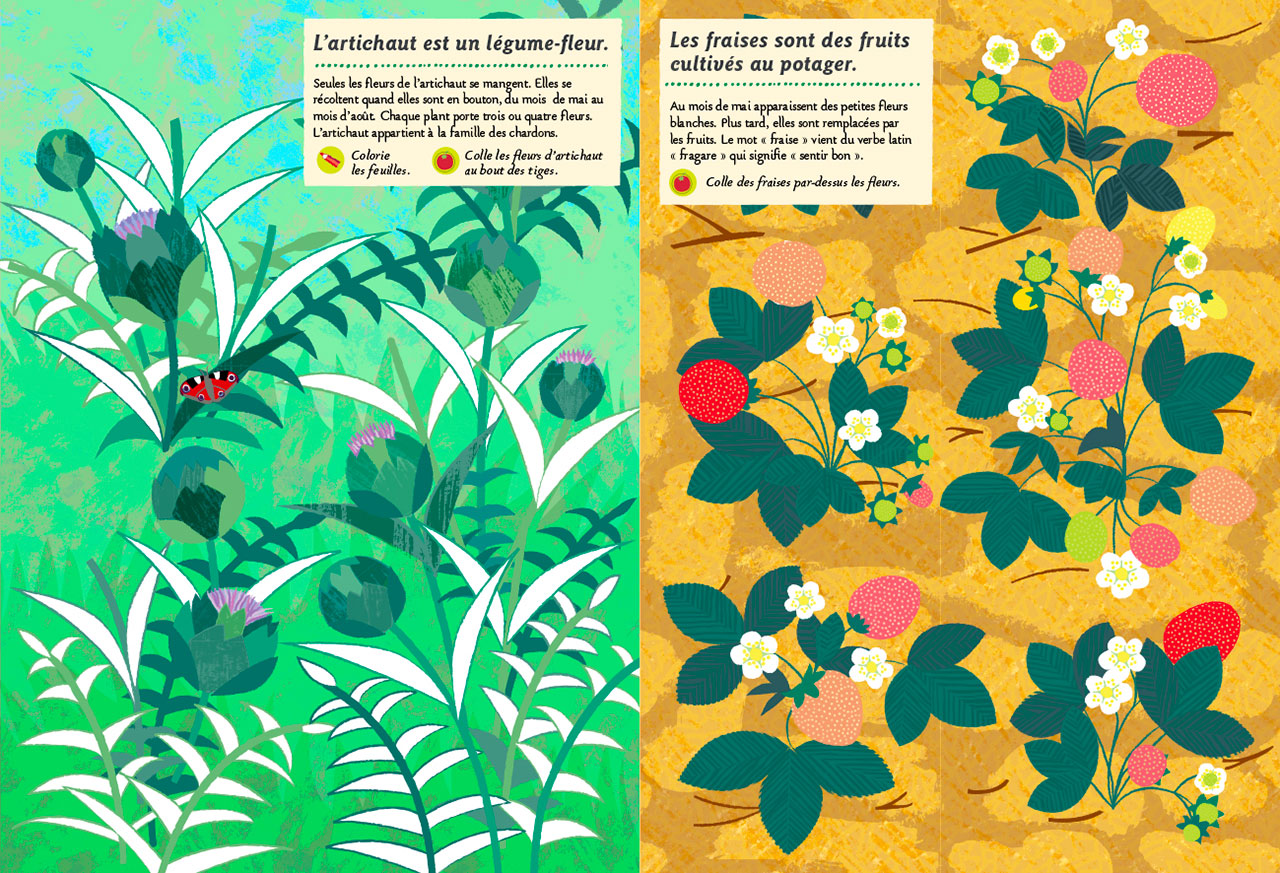 Le potager - Éditions Amaterra