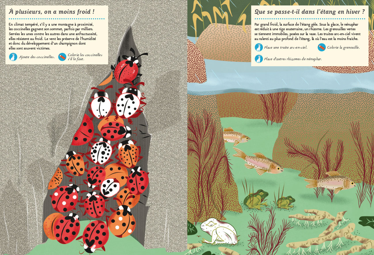 Faune et flore de l'hiver - Éditions Amaterra