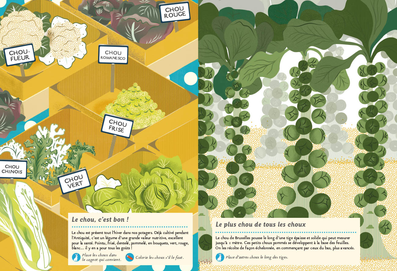 Faune et flore de l'hiver - Éditions Amaterra